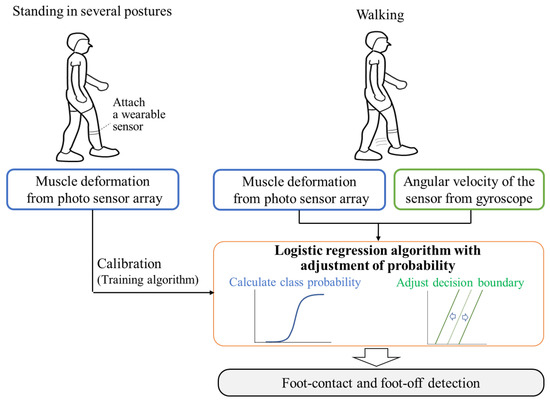 Gait Phase Detection Based on Muscle Deformation with Static Standing ...