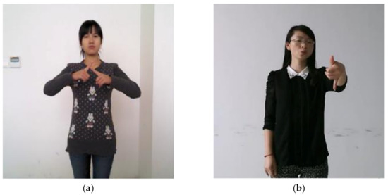 An Attention-Enhanced Multi-Scale and Dual Sign Language Recognition ...