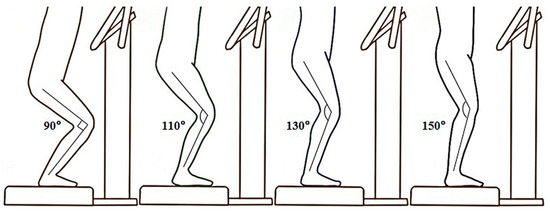 Managing Vibration Training Safety by Using Knee Flexion Angle and ...