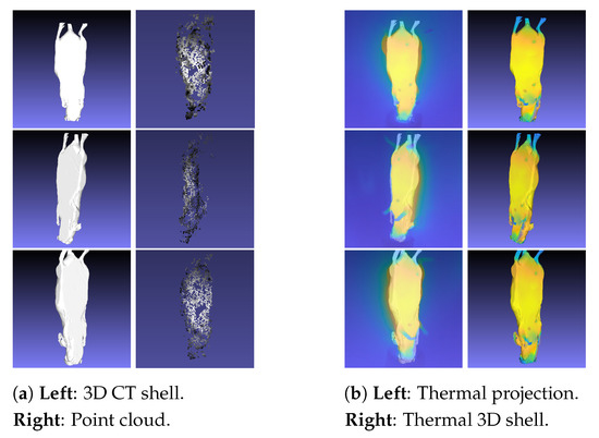Sensors | Special Issue : Sensors and Computer Vision Techniques for 3D ...