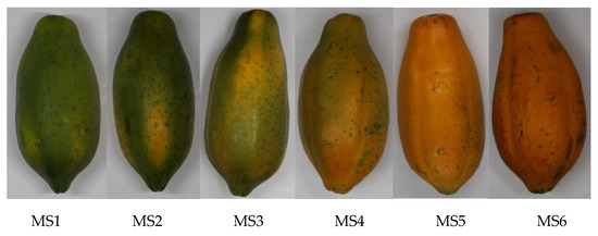 Sensors | Free Full-Text | Multimodal Deep Learning and Visible-Light ...