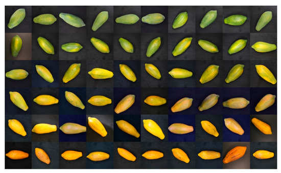 Sensors | Free Full-Text | Multimodal Deep Learning and Visible-Light ...