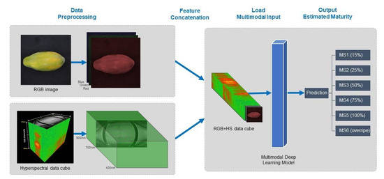Sensors | Free Full-Text | Multimodal Deep Learning and Visible-Light ...