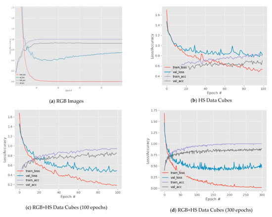 Sensors | Free Full-Text | Multimodal Deep Learning and Visible-Light and Hyperspectral Imaging ...