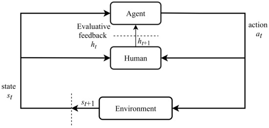 Reinforcement Learning Approaches in Social Robotics