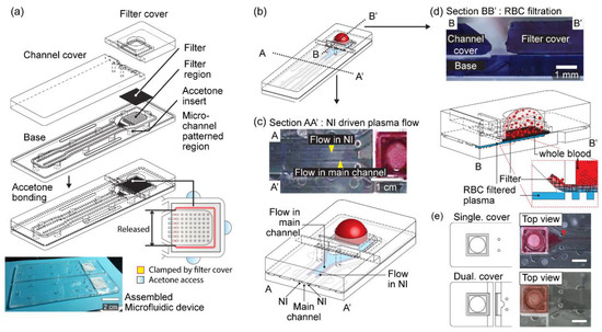 Sensors | Free Full-Text | Nano-Interstice Driven Powerless Blood ...