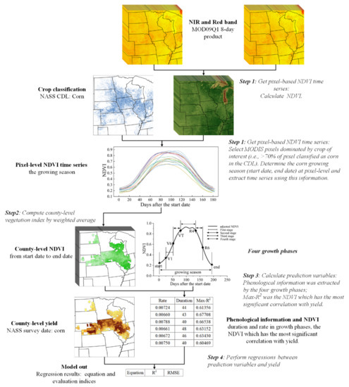 Prediction of Crop Yield Using Phenological Information Extracted from ...