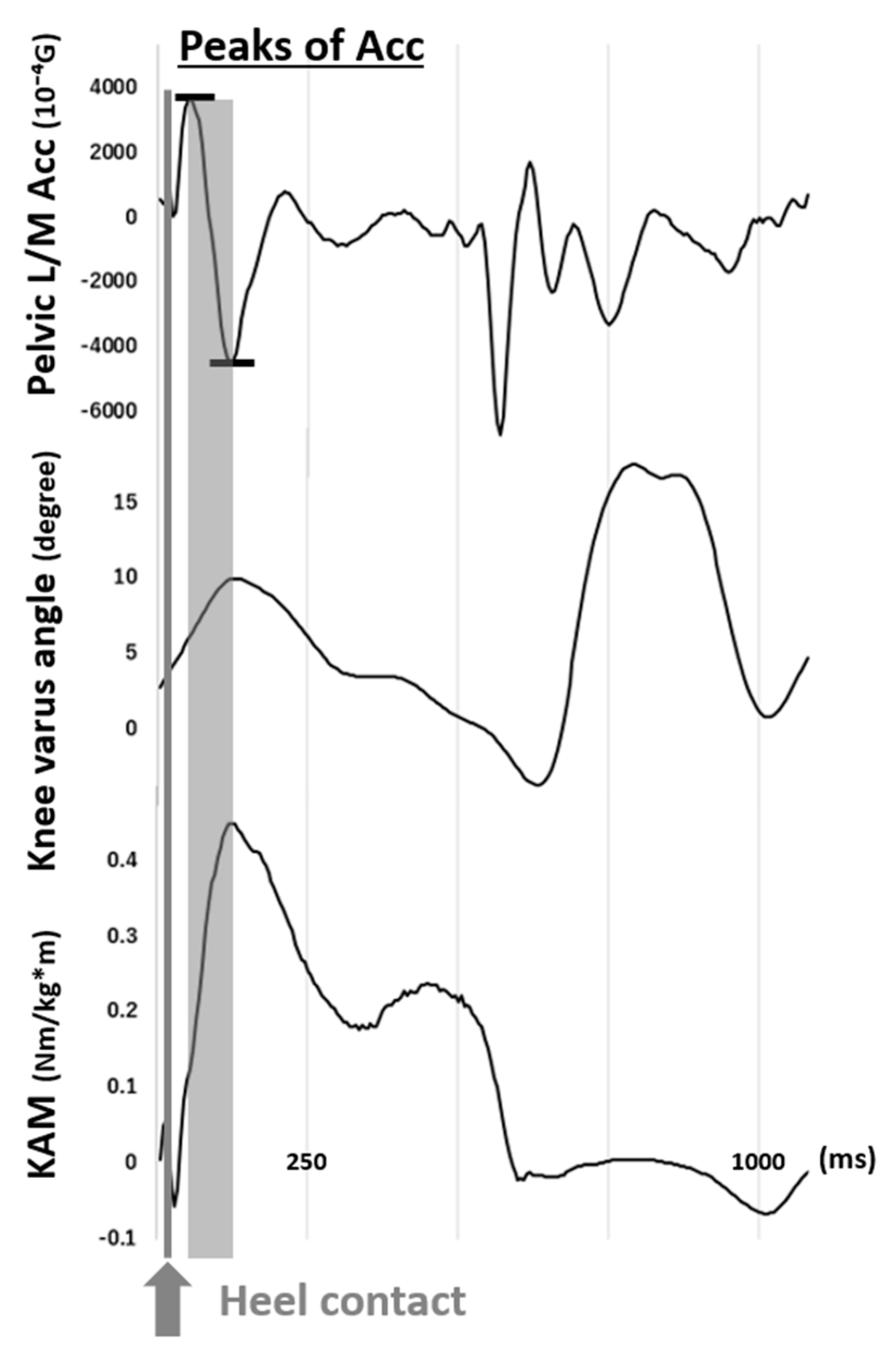 Estimation of the External Knee Adduction Moment during Gait Using an ...