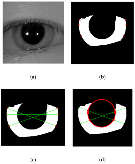 Robust Iris Segmentation Algorithm in Non-Cooperative Environments Using Interleaved Residual U-Net