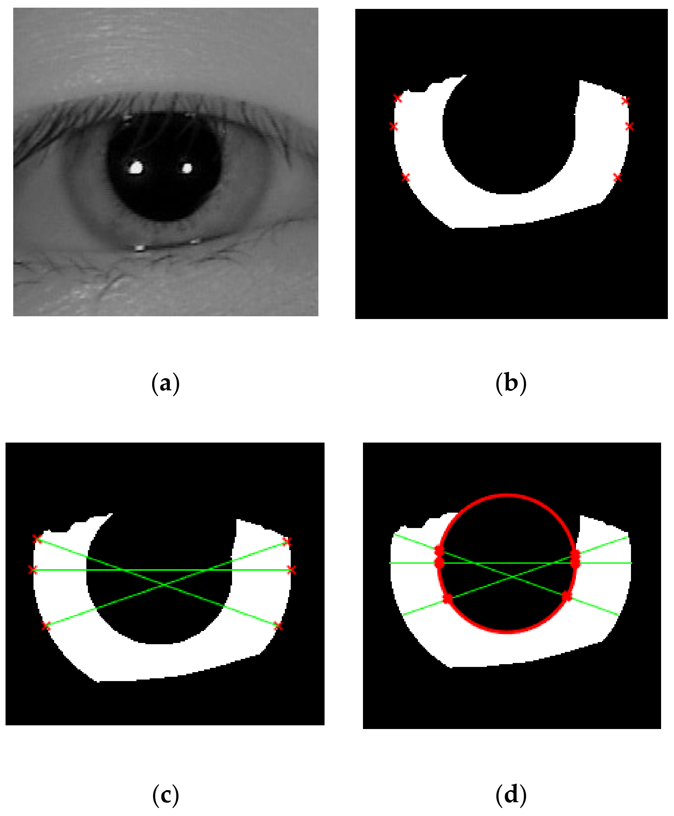 Robust Iris Segmentation Algorithm In Non Cooperative Environments Using Interleaved Residual U Net