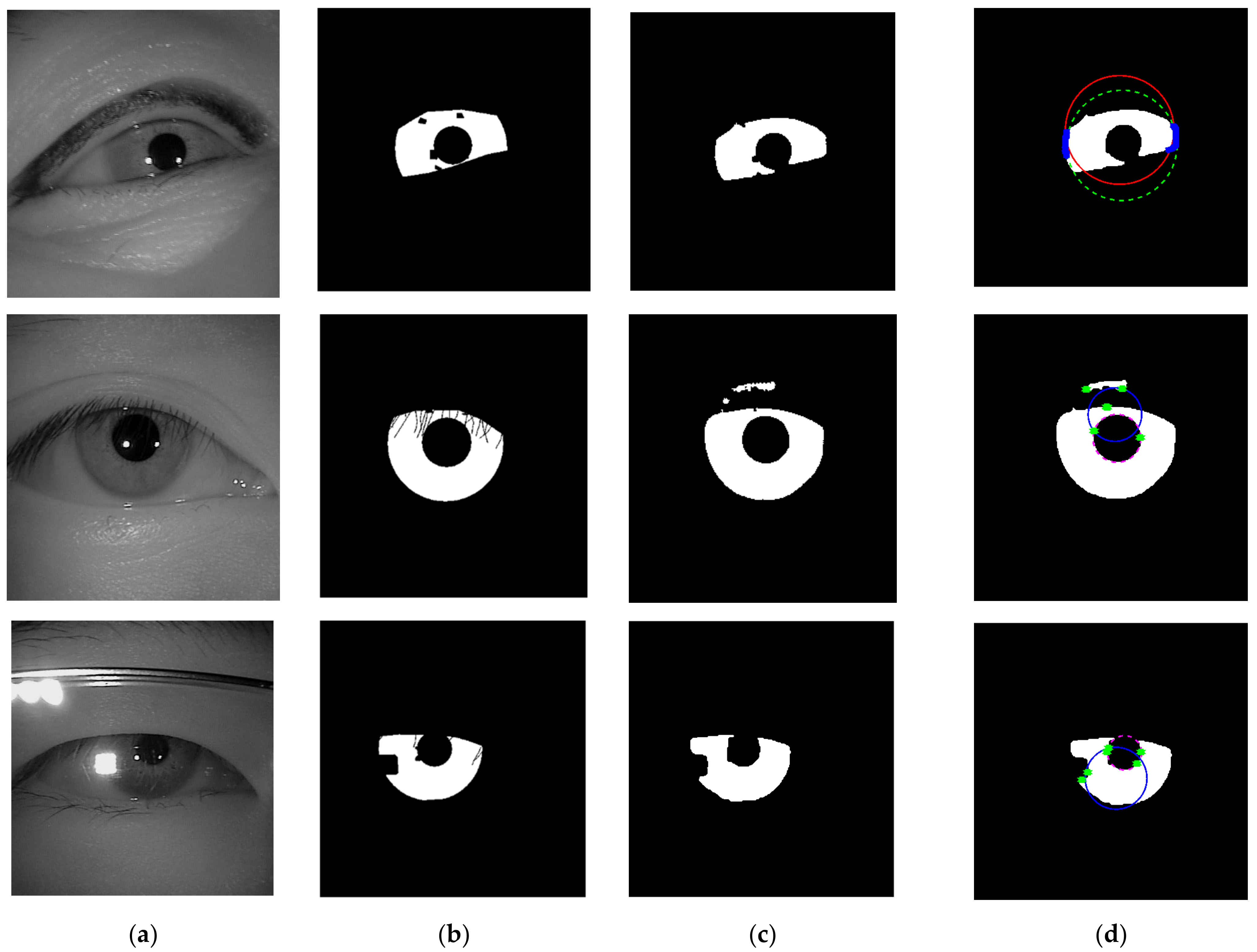 Robust Iris Segmentation Algorithm In Non Cooperative Environments Using Interleaved Residual U Net