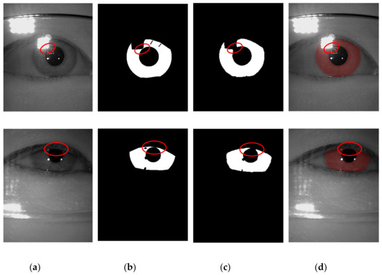 Robust Iris Segmentation Algorithm in Non-Cooperative Environments Using Interleaved Residual U-Net