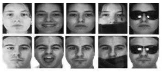 Fast Approximation for Sparse Coding with Applications to Object ...