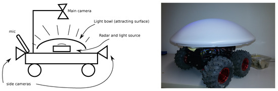 A Review of Insect Monitoring Approaches with Special Reference to ...