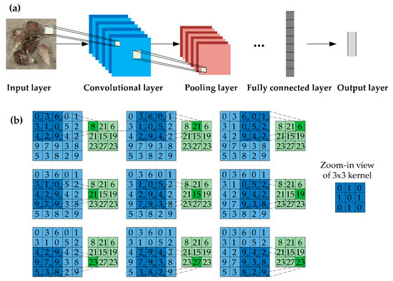 Practices and Applications of Convolutional Neural Network-Based ...