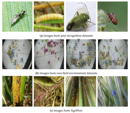 AgriPest: A Large-Scale Domain-Specific Benchmark Dataset for Practical ...