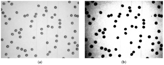 Segmentation of Microscope Erythrocyte Images by CNN-Enhanced Algorithms