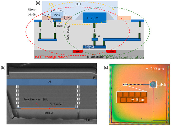 Sensitivity, Noise and Resolution in a BEOL-Modified Foundry-Made ISFET with Miniaturized ...