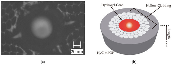 Hydrogel-Core Microstructured Polymer Optical Fibers for Selective ...