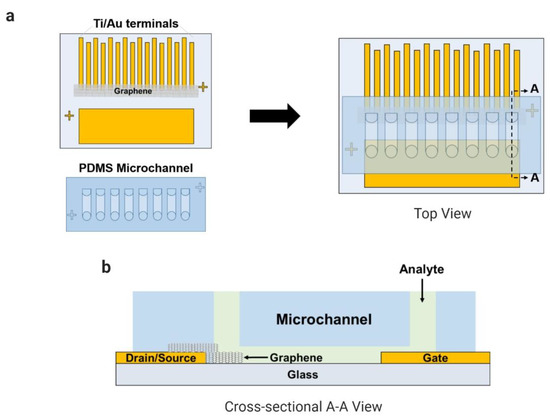 A Graphene-Based Enzymatic Biosensor Using a Common-Gate Field-Effect ...