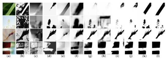 MSDU-Net: A Multi-Scale Dilated U-Net for Blur Detection
