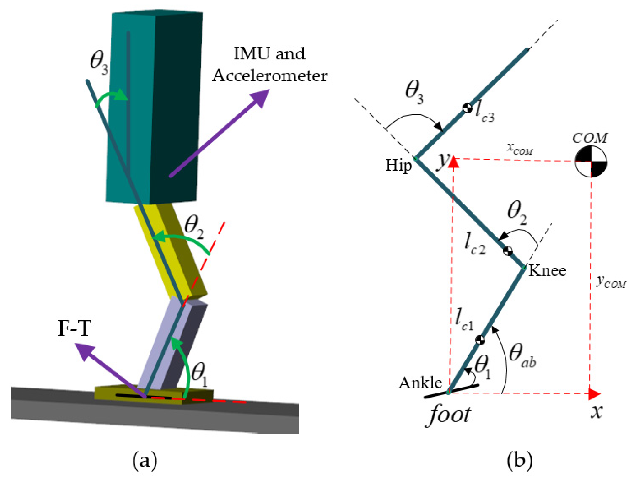 Sensors Free Full Text Simulation Of Upward Jump Control For One Legged Robot Based On Qp