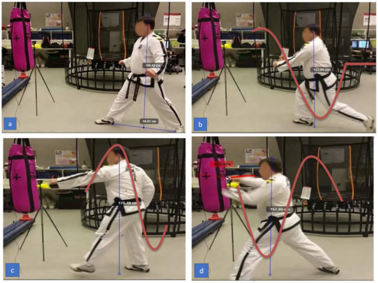 Evaluating Martial Arts Punching Kinematics Using a Vision and Inertial ...