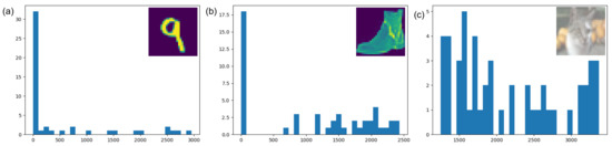 Sensors | Free Full-Text | Towards an Efficient CNN Inference Architecture Enabling In-Sensor ...