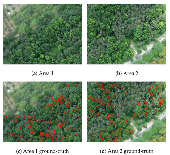 Hybrid Deep Learning Models with Sparse Enhancement Technique for ...