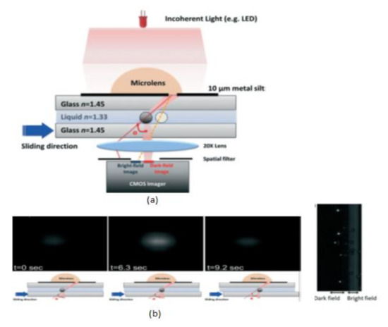 Human Body-Related Disease Diagnosis Systems Using CMOS Image Sensors ...