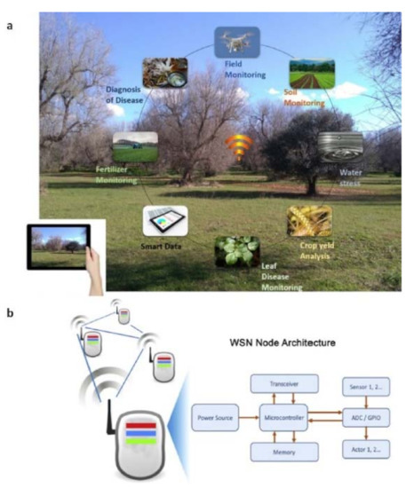 Advances in Plant Disease Detection and Monitoring: From Traditional ...