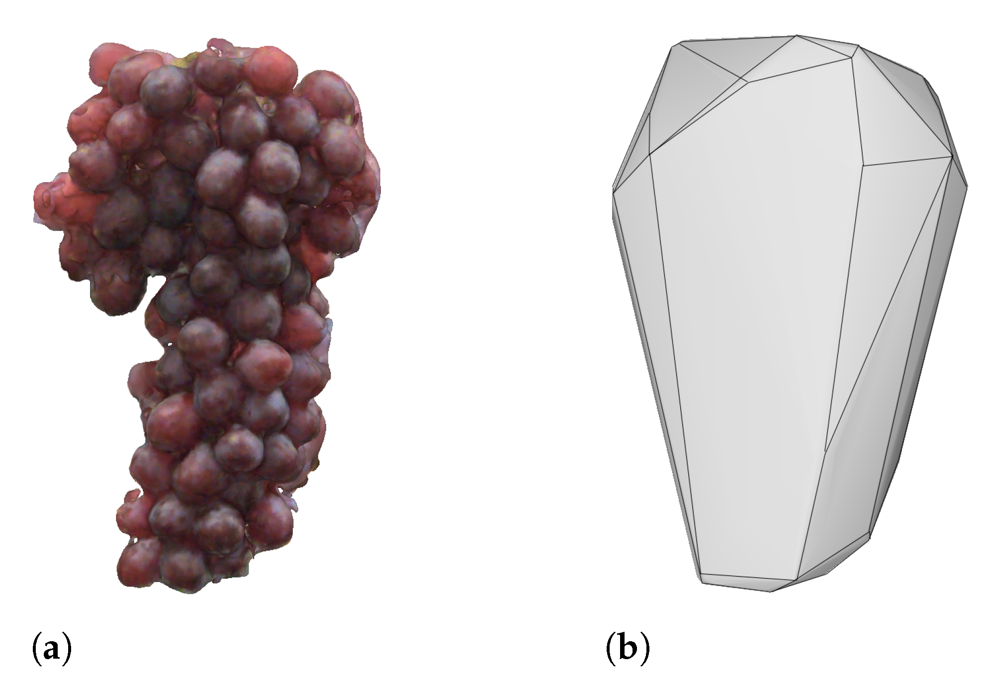 Sensors | Free Full-Text | Occluded Grape Cluster Detection and Vine ...