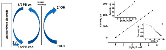 Sensors | Free Full-Text | Nanostructures in Hydrogen Peroxide Sensing
