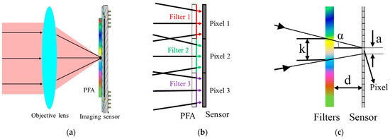 Snapshot Imaging Spectrometer Based on Pixel-Level Filter Array (PFA)