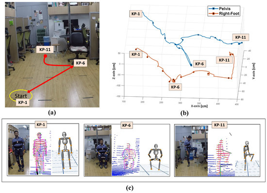 An Open-Source Platform for Human Pose Estimation and Tracking Using a ...