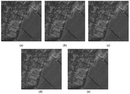 Feature Preserving Autofocus Algorithm for Phase Error Correction of SAR Images