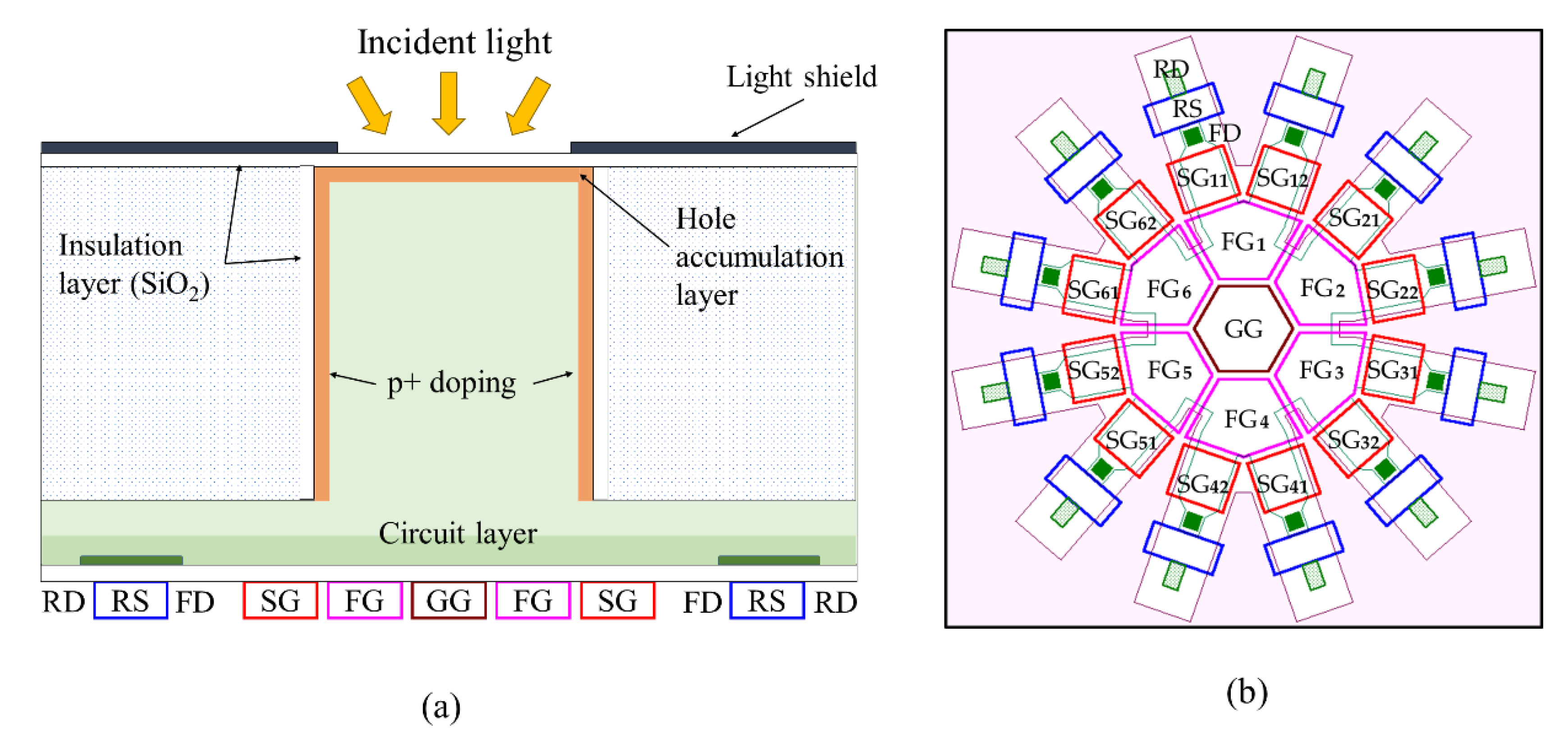 A Pixel Design of a Branching Ultra-Highspeed Image Sensor
