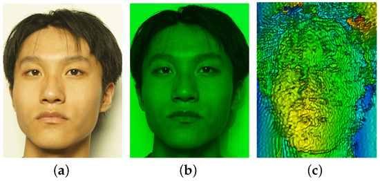 Fourier-Transform-Based Surface Measurement and Reconstruction of Human ...