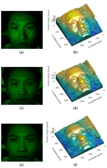 Fourier-Transform-Based Surface Measurement and Reconstruction of Human ...
