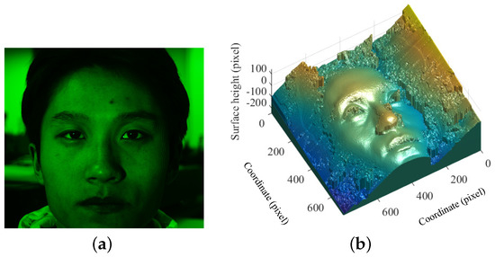 Fourier-Transform-Based Surface Measurement and Reconstruction of Human ...