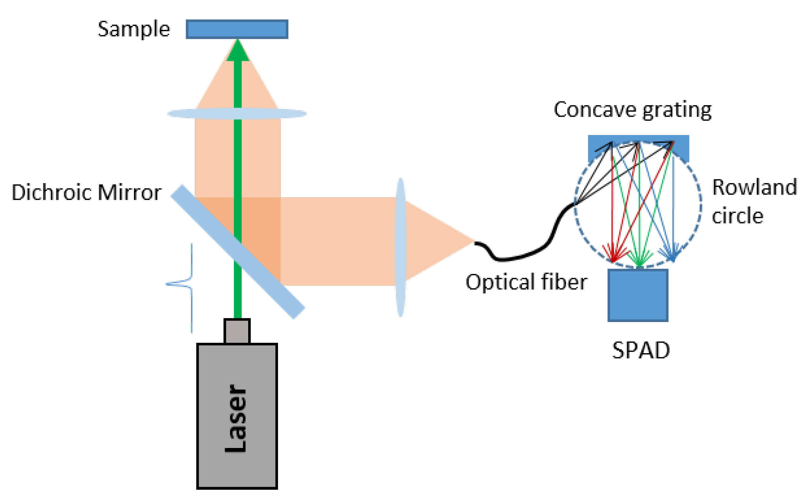 Fast Gating for Raman Spectroscopy