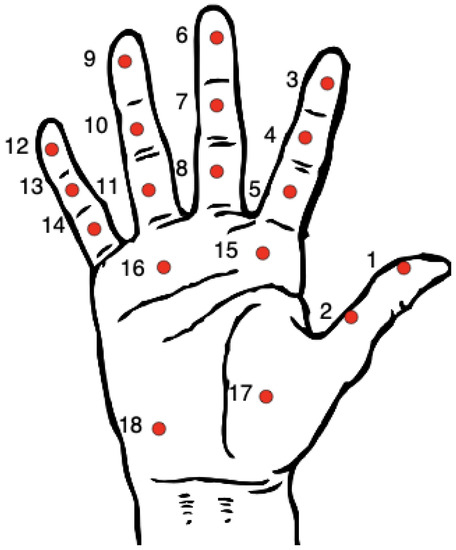 Dataset of Tactile Signatures of the Human Right Hand in Twenty-One ...