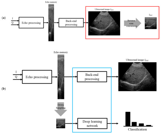 Reverse Scan Conversion and Efficient Deep Learning Network Architecture for Ultrasound Imaging ...