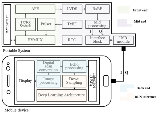Reverse Scan Conversion and Efficient Deep Learning Network Architecture for Ultrasound Imaging ...