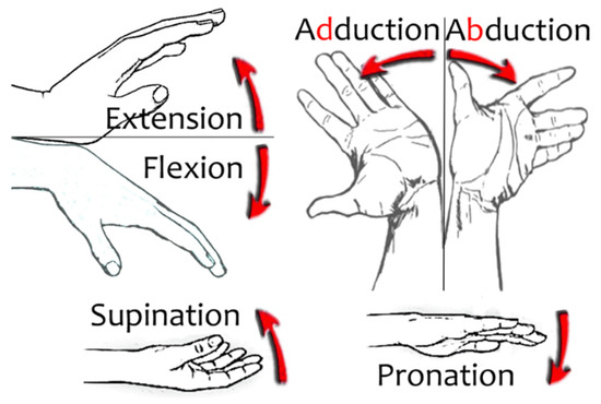 A Systematic Review of Commercial Smart Gloves: Current Status and ...