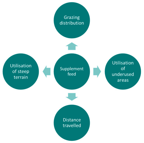 Sensors | Special Issue : Sensors for Animal Health Monitoring and ...
