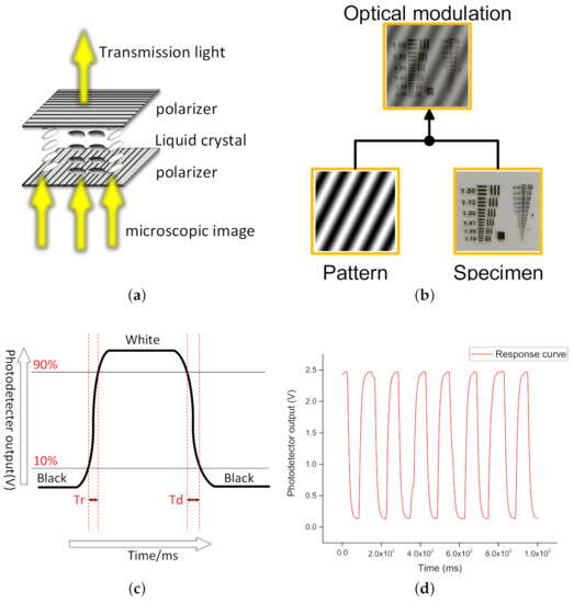 Transmissive Single-Pixel Microscopic Imaging through Scattering Media