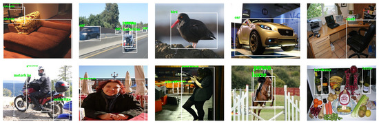 Object Detection Combining CNN and Adaptive Color Prior Features