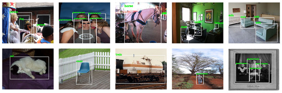 Object Detection Combining CNN and Adaptive Color Prior Features
