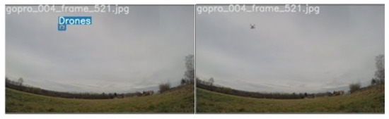 Drone vs. Bird Detection: Deep Learning Algorithms and Results from a ...